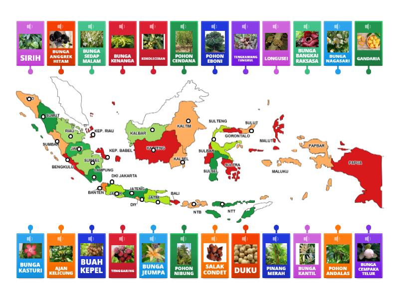 FLORA IDENTITAS INDONESIA - Labelled diagram
