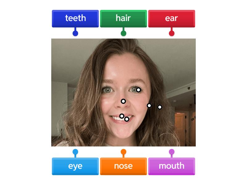 FACE - Labelled diagram