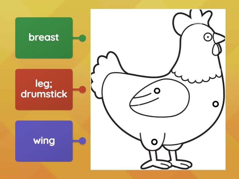 Poultry - Labelled diagram
