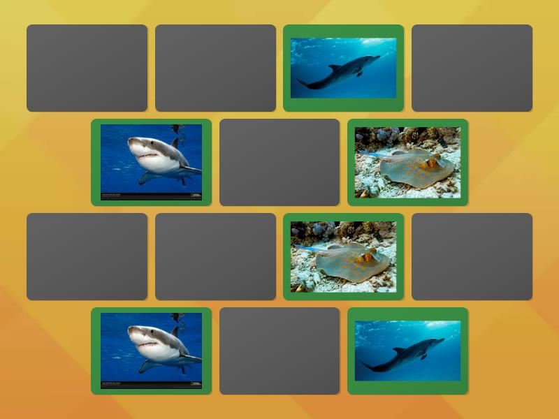 MEMORY ANIMALES DEL MAR - Matching pairs