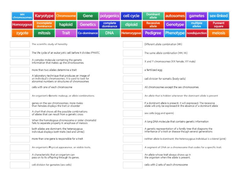 Mendelian and Non-Mendelian Genetics Matching - Match up