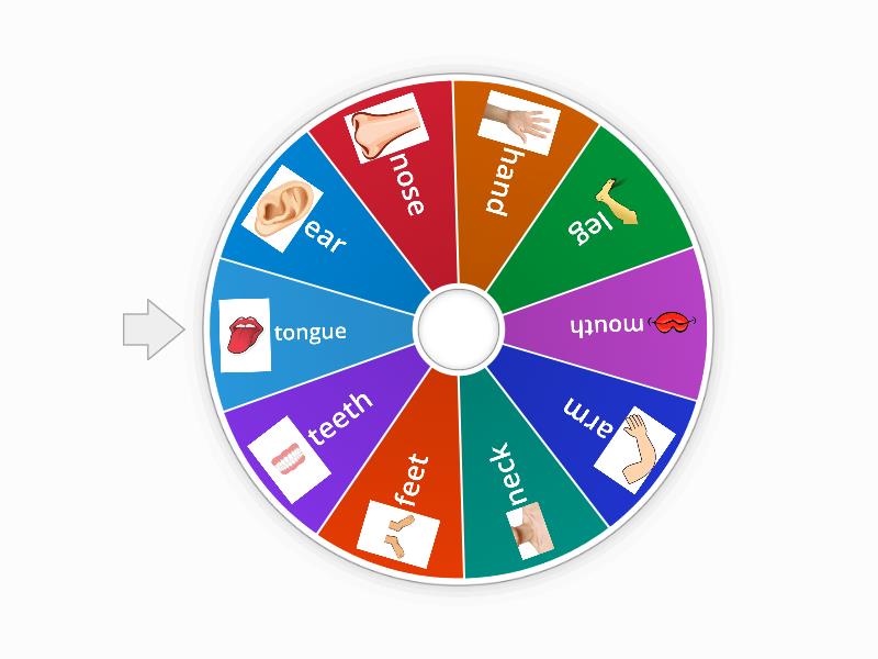Parts of body - Spin the wheel