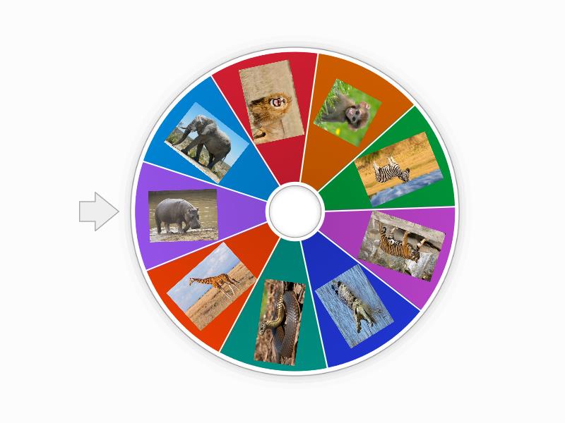 Animals - What animal is it? - Spin the wheel