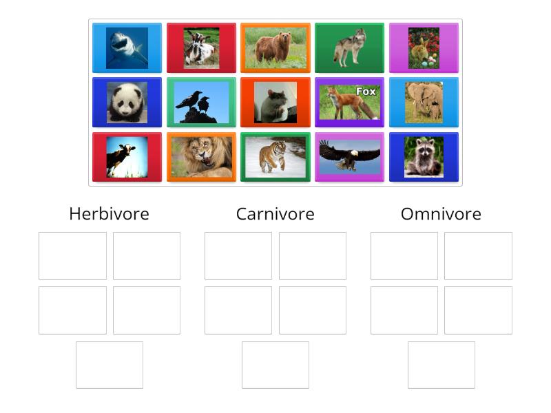 Herbivore, Carnivore, or Omnivore? - Group sort