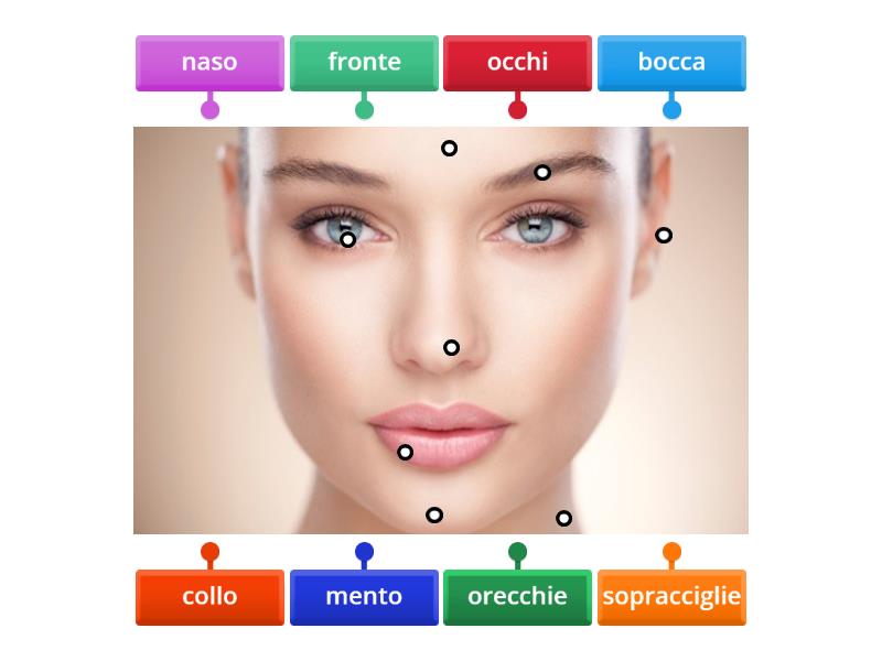 le parti del viso - Labelled diagram