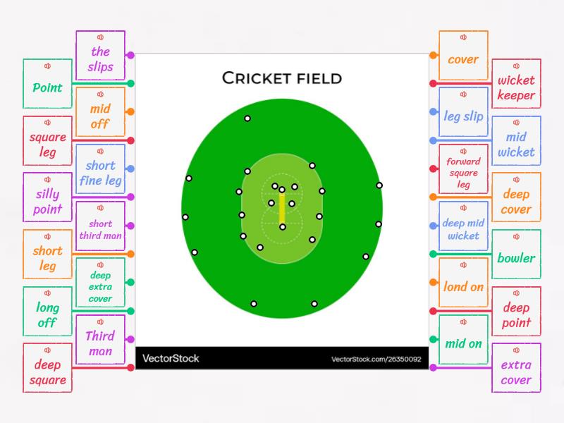 Cricket pitch match up - Labelled diagram