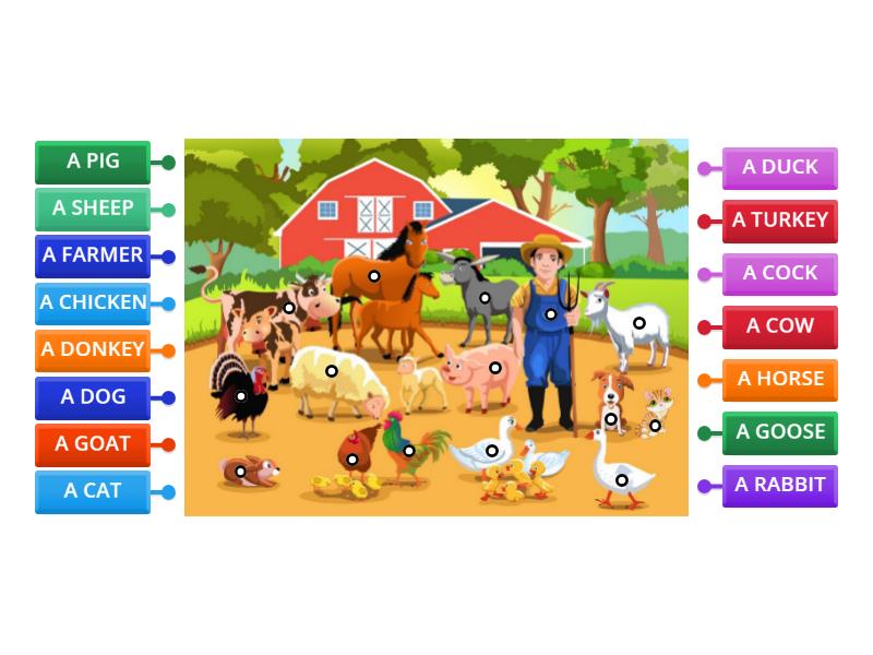 Farm animals for kids - Labelled diagram