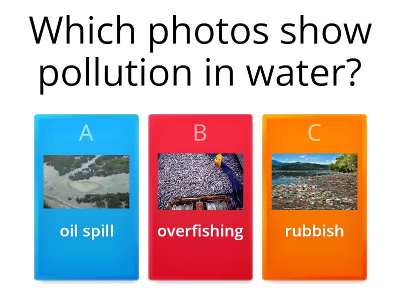 Pollution - Quiz