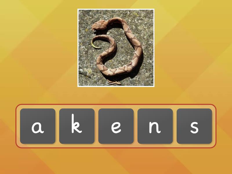 magic e s (a,e,i,o,u) - Anagram