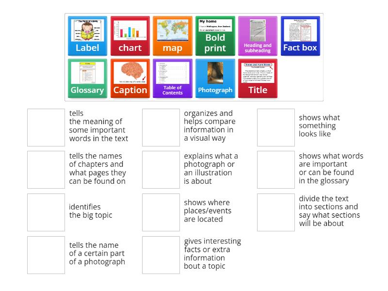 Informational Text Features - Match up