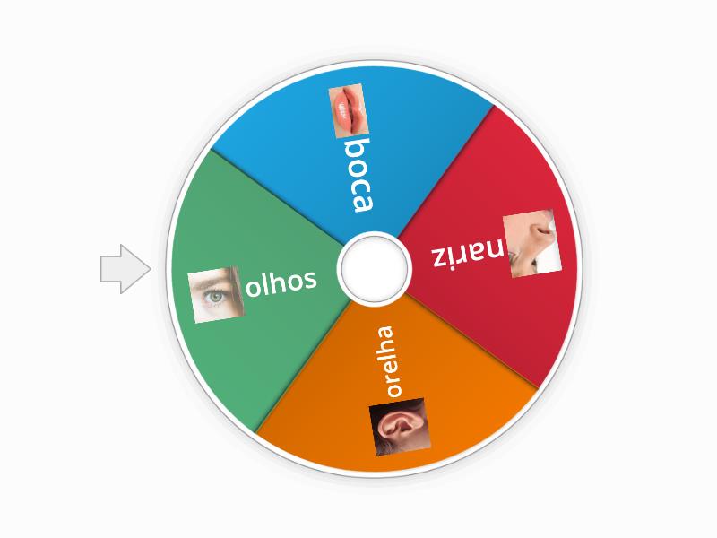 Alguns Conhecimentos do corpo humano - Random wheel