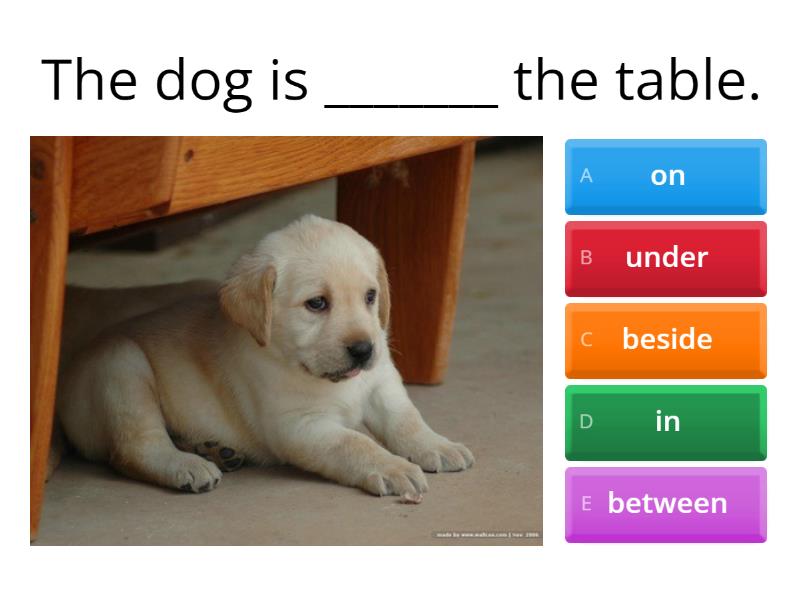 Prepositions of Place (in, on, under, beside, between) - Kuiz