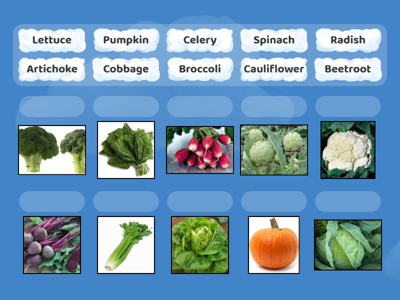 Vegetables - Match up