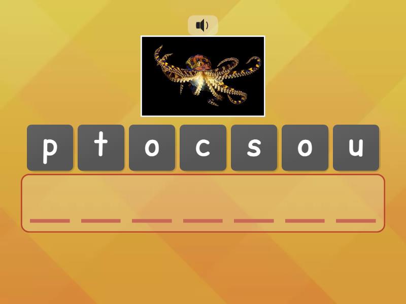 ASS Reader - Anagram