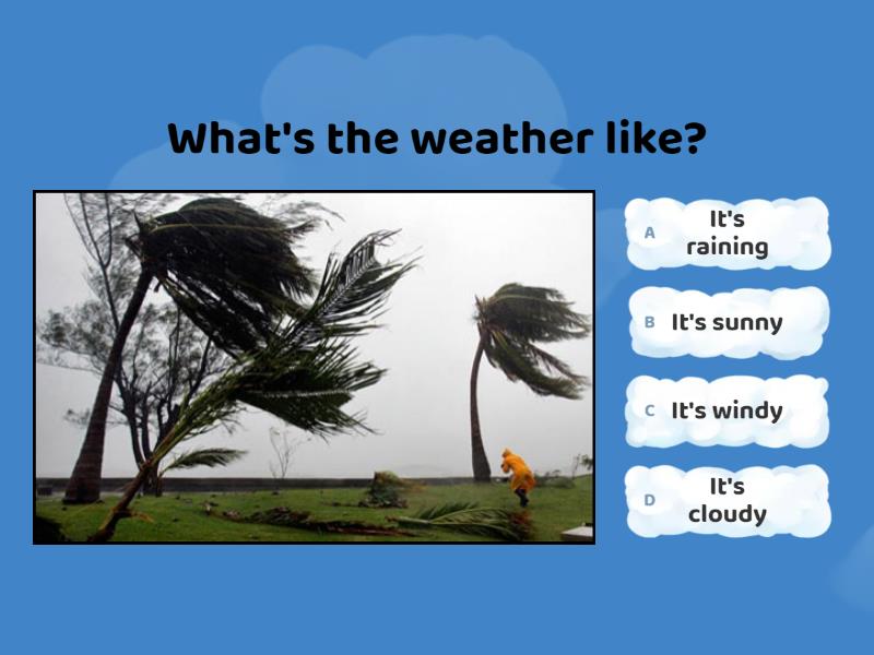 The Weather and Seasons - Quiz