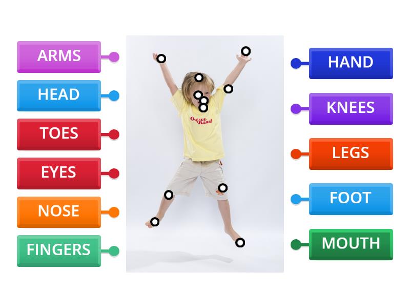 Parts of the body (game review - 2º ano) - Labelled diagram