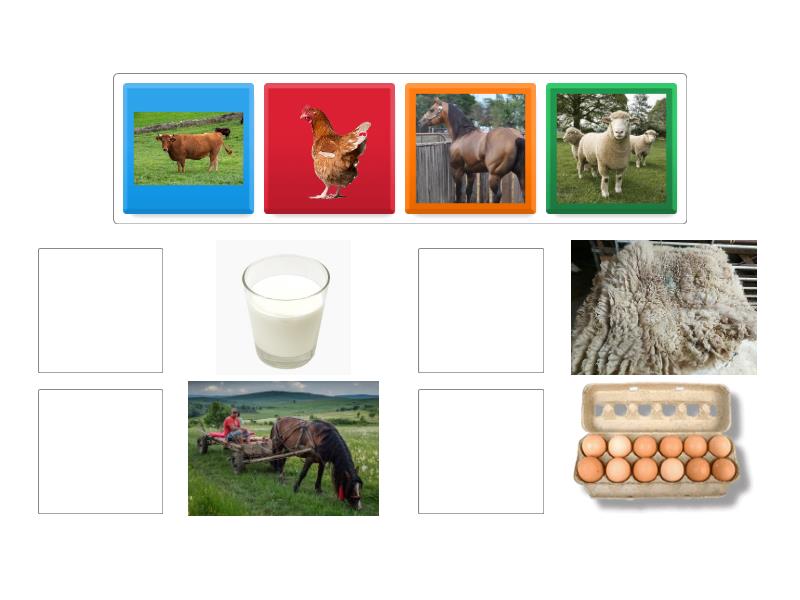 Guess what each farm animal provides us? - Match up