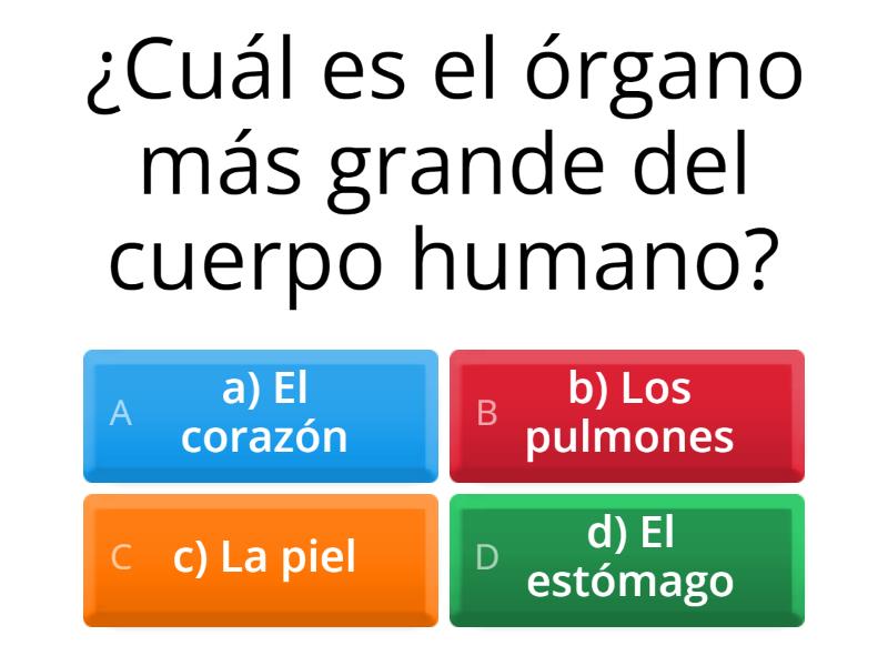 El cuerpo humano - Quiz