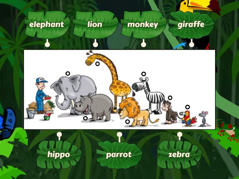 Bugs Team 1 unit 4 label the animals - Rysunek z opisami