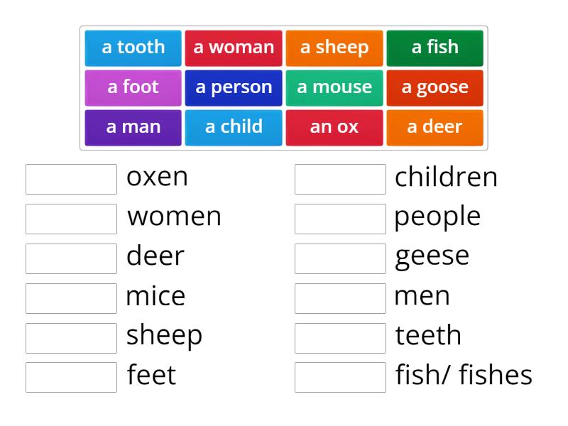 Irregular nouns - Match up