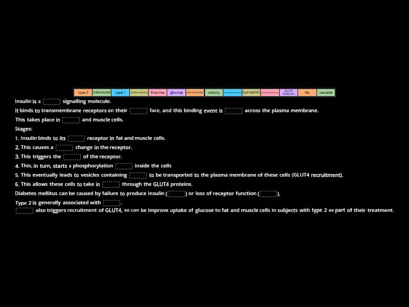 Braes AH Biology Unit 1 KA 4c Insulin binding missing word summary - Complete the sentence