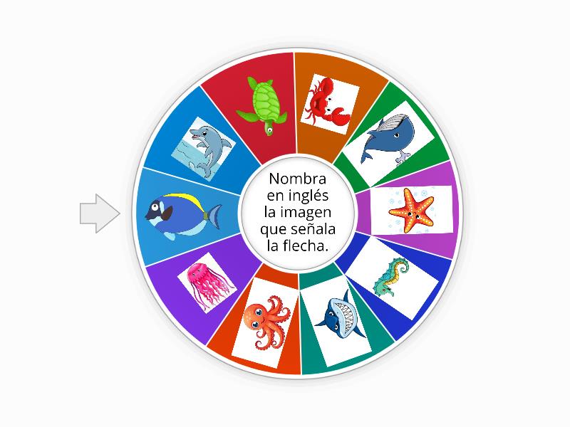 Ruleta de animales del mar - Roleta aleatória