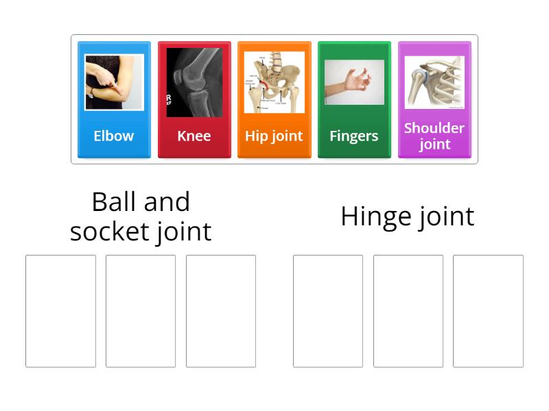 Types of joints - Ordenar por grupo
