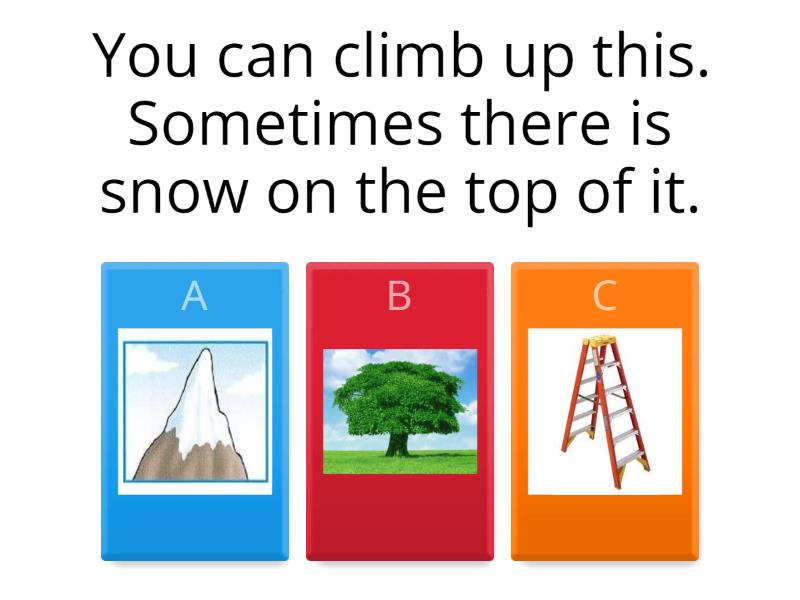 Movers - Part 1 - Reading - Quiz