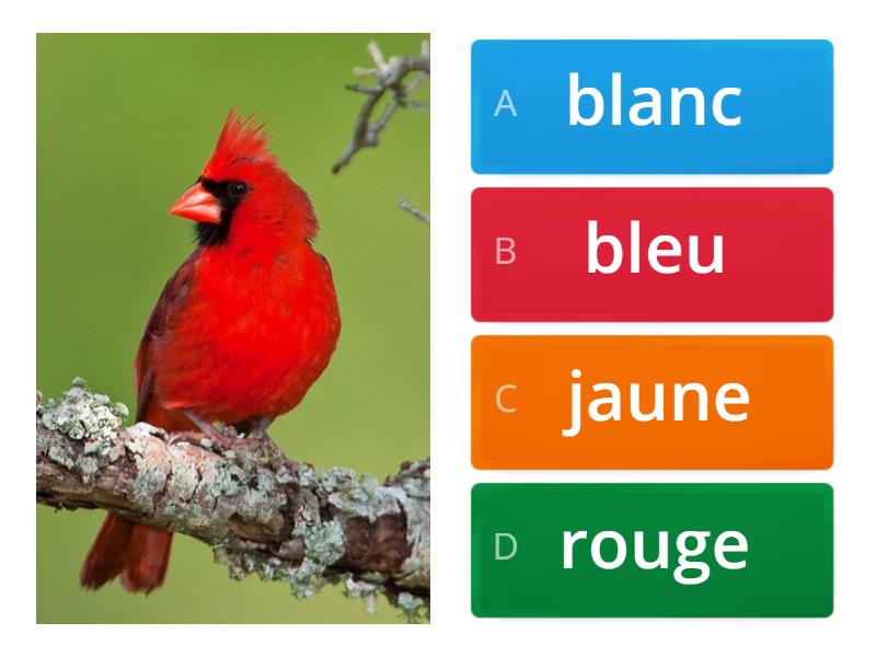 Les couleurs - Quiz