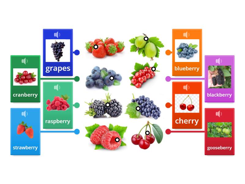 fruit - Labelled diagram