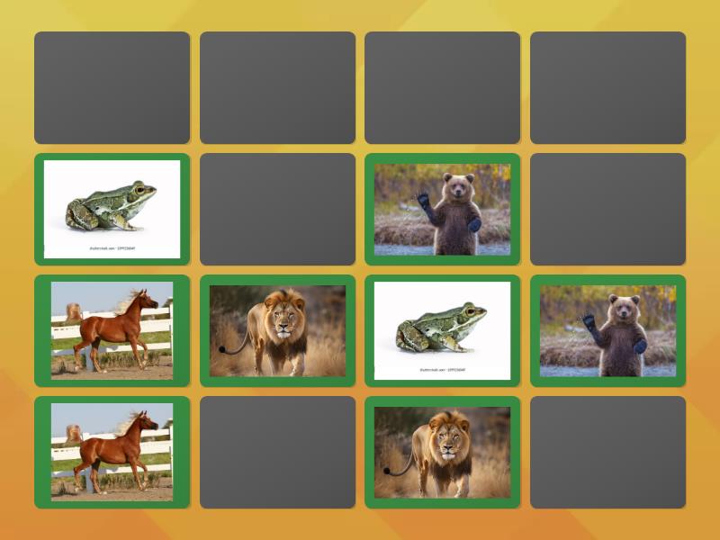 Matching animals - Matching pairs