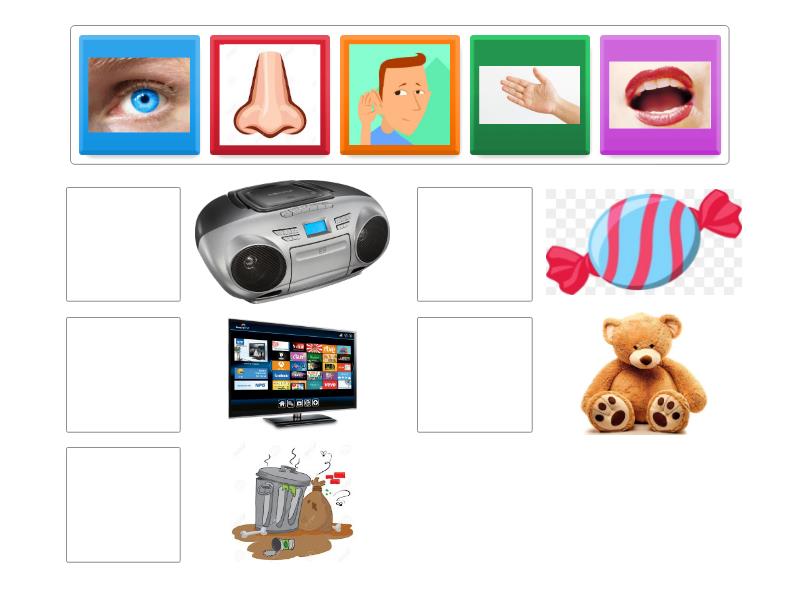 Los 5 sentidos - Match up