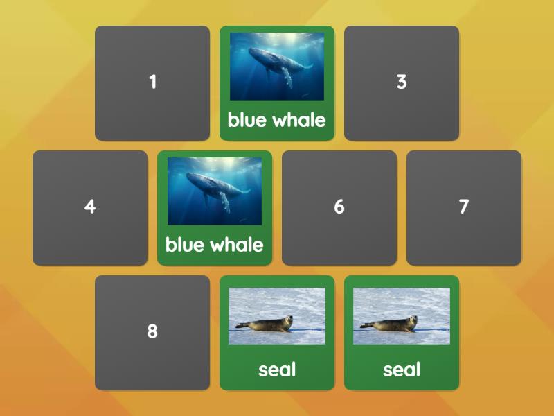 Polar animals - Matching pairs