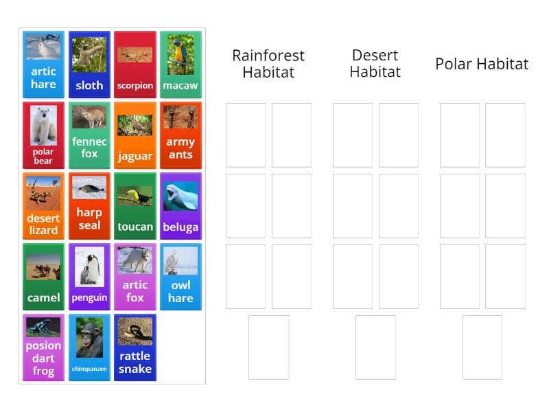 Sorting of Animals According to Habitats- Year 2 - Group sort