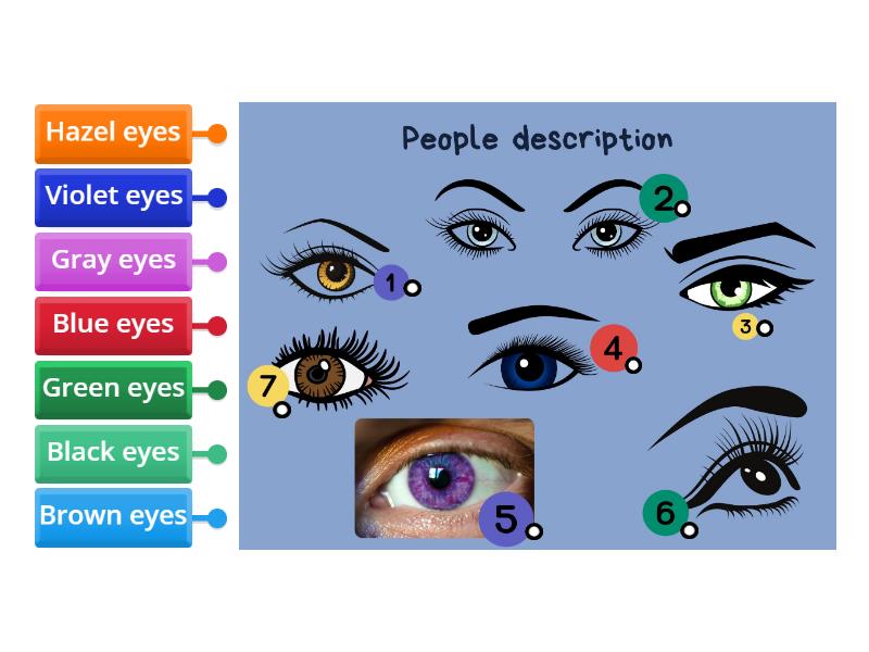 Vocabulary People description - eye colour - Diagrama con etiquetas