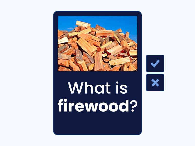 Making a campfire: Vocabulary - Flash cards