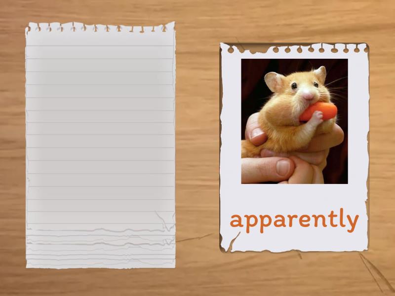 Attitude adverbs and connectors - Speaking cards