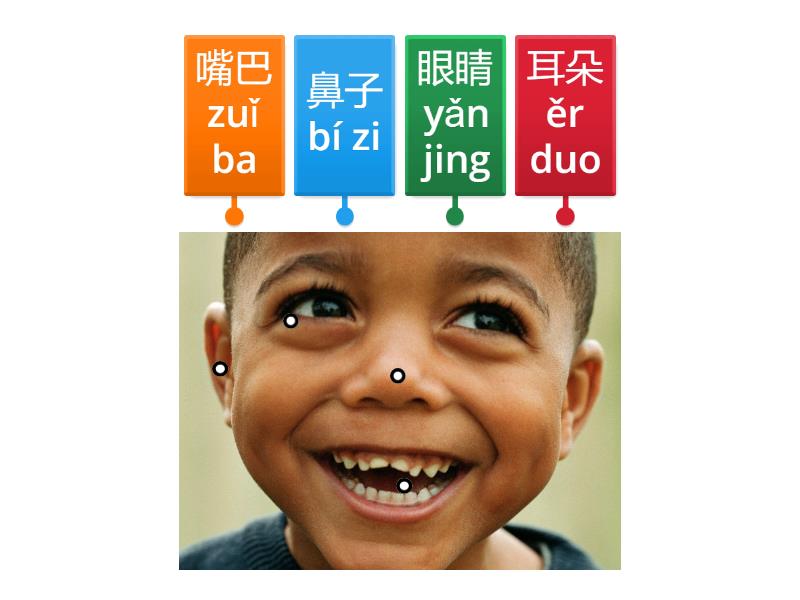 my face - Labelled diagram