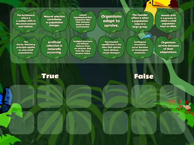 Evolution Activity! - Group sort