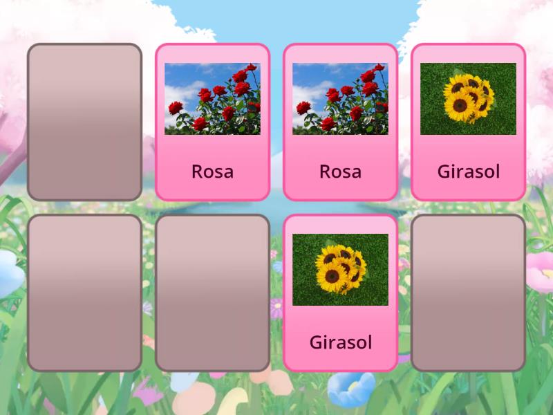 El jardin de las flores - Matching pairs