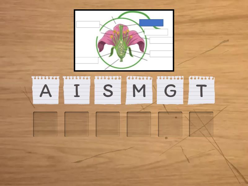 PARTS OF A FLOWER. NAMES - Anagram