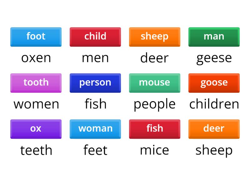 Irregular Plural Nouns - Match up