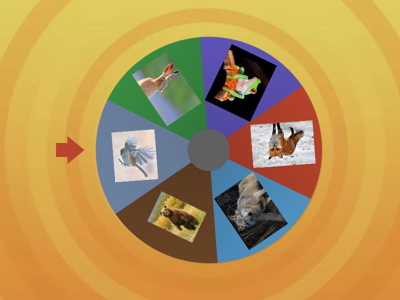 forest animals - Spin the wheel