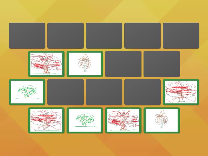 5to B. Nuevo Día. - Matching pairs