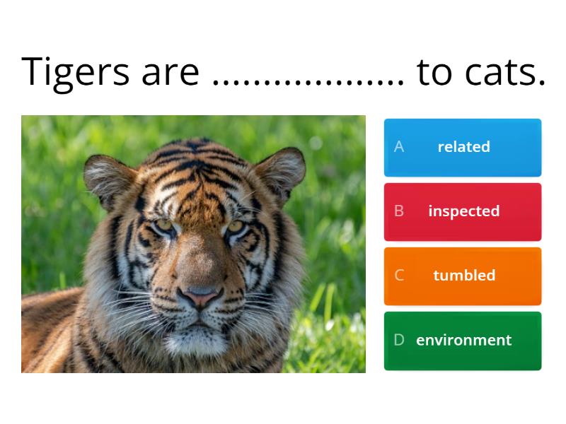 Gray Wolf! Red Fox! - Quiz