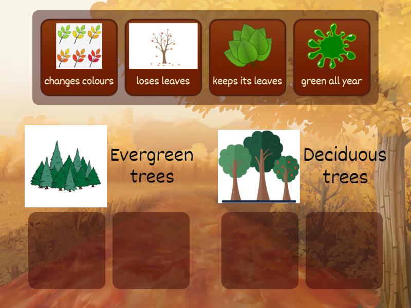 Types of trees - Group sort