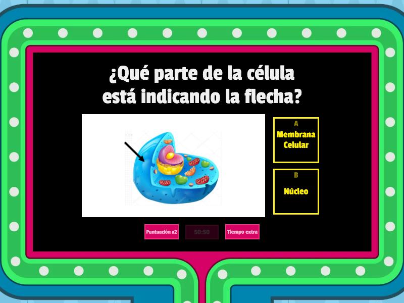 PARTES DE LA CÉLULA - Gameshow quiz