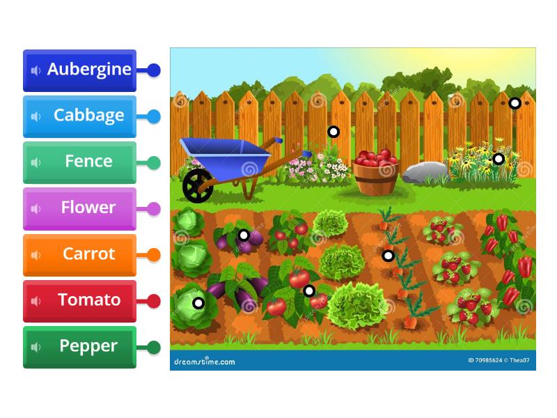 Garden - Labelled diagram