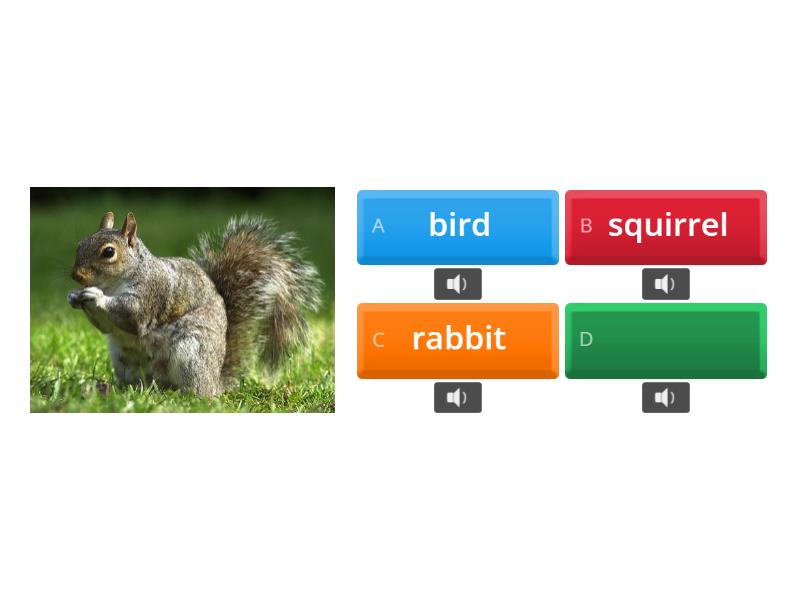 ABEKA K5- MATH- LESSON 17 - Quiz