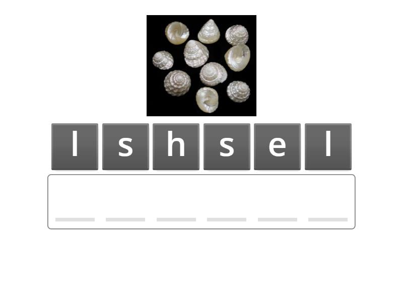 at the beach - Anagram